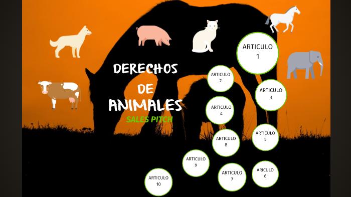 Derechos de los Animales KPSM by Kristel Paulette Saeteros Mendieta on ...