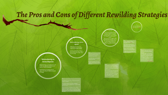 The Pros and Cons of Different Rewilding Techniques by Laura Monson on ...