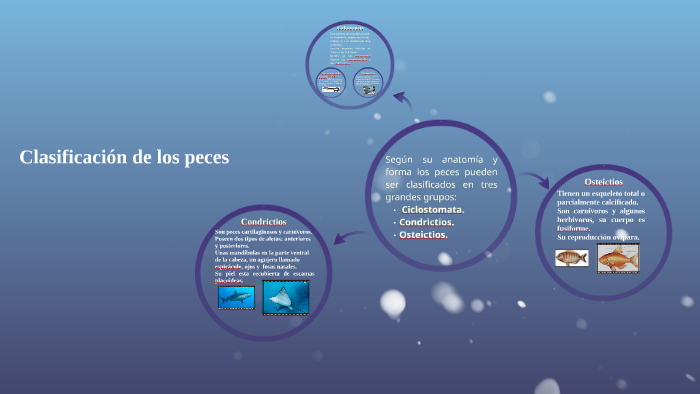 Clasificación de los peces by Joan Castro on Prezi