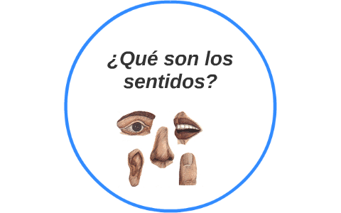 ¿Qué son los sentidos? by Claudia Rojas on Prezi