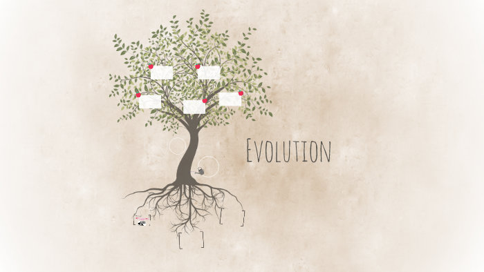 Evolution by Destiny bergara on Prezi