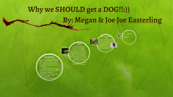 Why we SHOULD get a DOG!!:)) by Megan Easterling on Prezi
