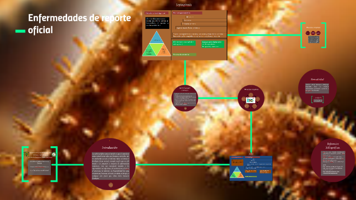 Enfermedades de reporte oficial by Andy Zax on Prezi