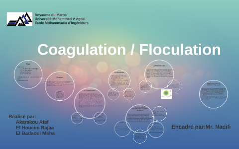 Coagulation Floculation by Maha El Badaoui on Prezi