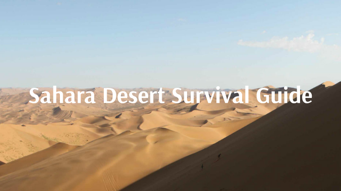 Sahara Desert Survival Guide by alex cote on Prezi