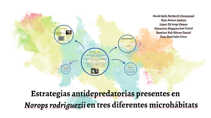 Estrategias antidepredatorias presentes en Norops rodriguezi by Andrea ...