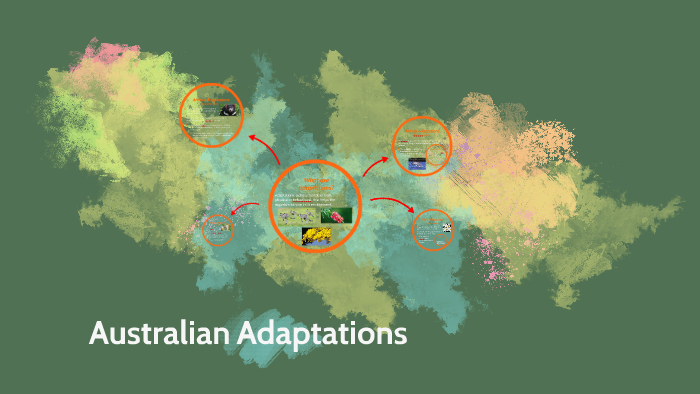 Australian Adaptations by Tinkerbell M on Prezi