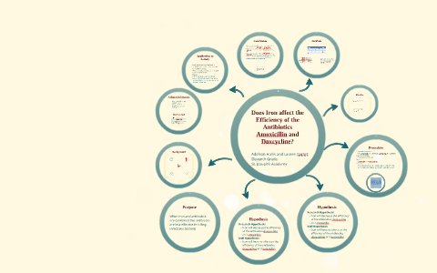 The Effect of Iron on the Antibiotics Amoxicillin and Doxycy by Lauren ...