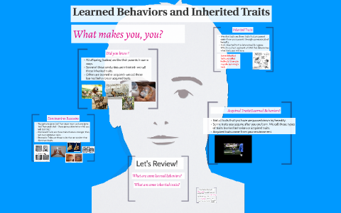 Learned Behaviors and Inherited Traits by Tiffany Hopkins on Prezi