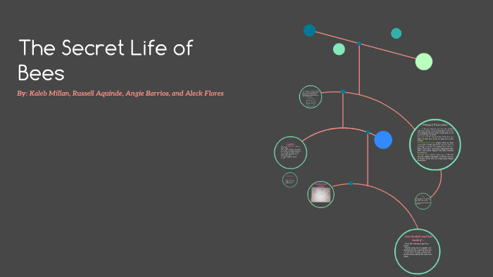 The Secret Life of Bees by Kaleb Millan on Prezi
