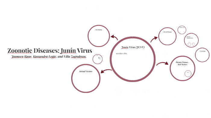 Zoonotic Diseases: Junín Virus by Jasmeen Kaur on Prezi