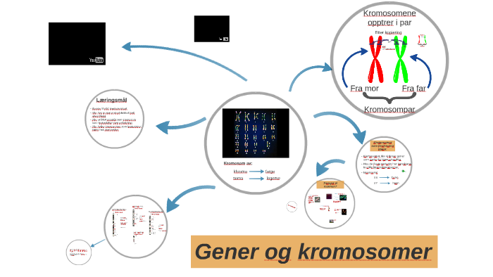 Gener og kromosomer by Helen Helbæk on Prezi