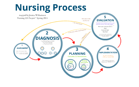 The Nursing Process by Jessica Williamson on Prezi