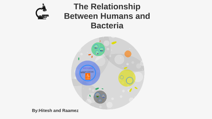 The Relationship Between Humans and Bacteria by hitesh sehjal on Prezi