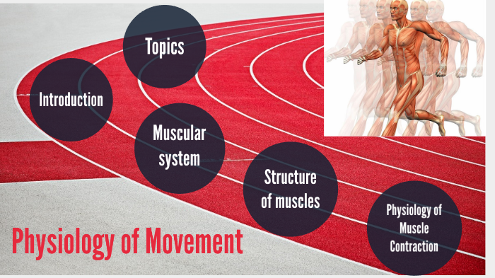 Physiology of Movement by Ludmilla Costa on Prezi