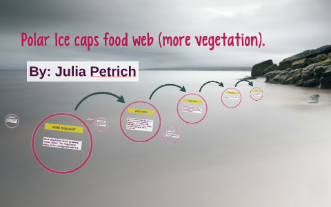 Polar Ice caps food web (more vegetation). by julia petrich on Prezi