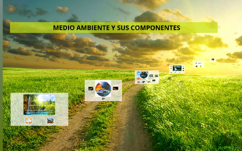 Medio Ambiente y sus Componentes by alexis garcia on Prezi