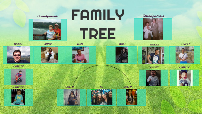 MY FAMILY TREE by Laura Johana Osorio Solano on Prezi