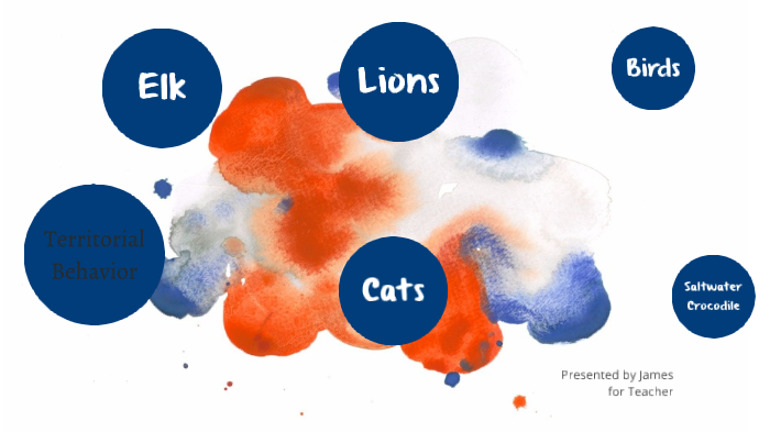 Territorial Behavior by James Pitassy on Prezi