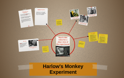 Harlows Monkey Experiment by holly farmer on Prezi