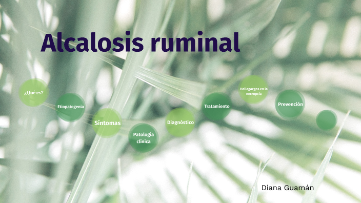 Alcalosis Ruminal by diana guaman on Prezi