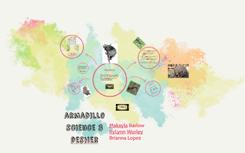 Armadillo Research Project by makayla barlow on Prezi