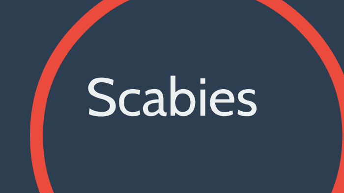 Scabies by chris palen by christopher palin on Prezi