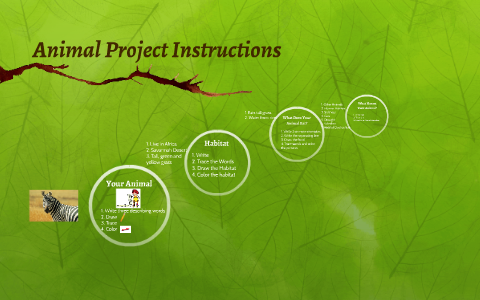 Animal Project Instructions by Rachel Oakeson on Prezi