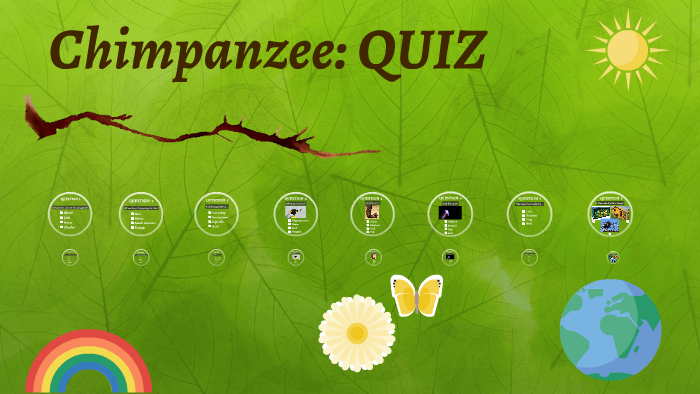 Chimpanzee: QUIZ by Elena Bruzzi on Prezi