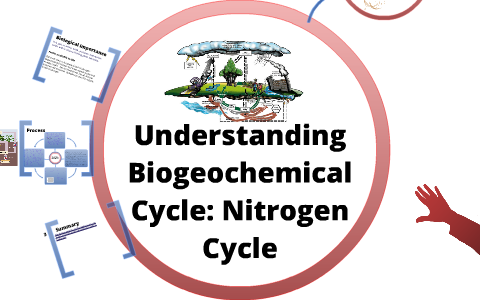 Biogeochemical Cycle: Nitrogen Cycle by Chantera Lazard on Prezi