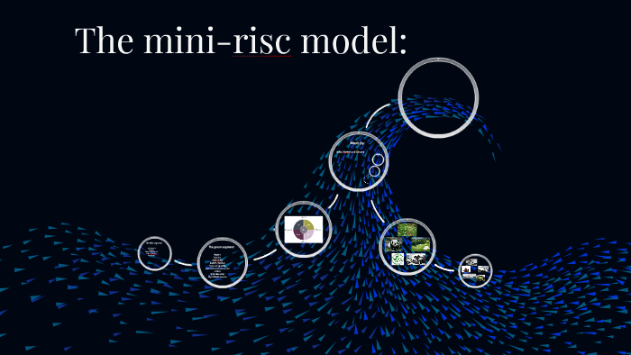 The mini-risc model: by Simone Sabrine Sørensen on Prezi