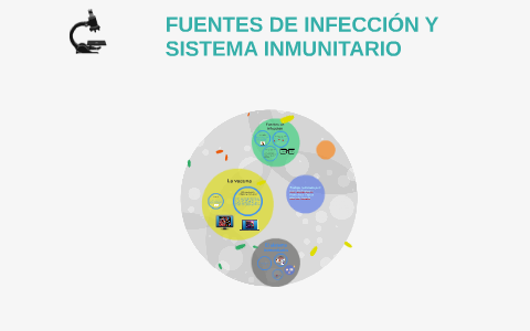 FUENTES DE INFECCIÓN Y SISTEMA INMUNITARIO by Inés Barthelemy Aguilera ...