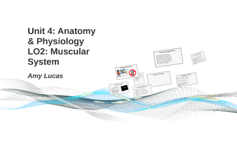 Unit 4: Anatomy & Physiology by Amy Lucas on Prezi