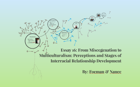 Essay 16: From Miscegenation to Multiculturalism: Perception by Katelyn ...