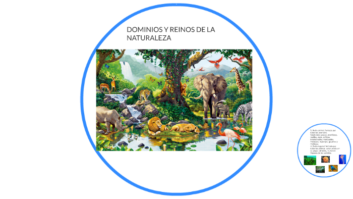 DOMINIOS Y REINOS DE LA NATURALEZA by camilo panta on Prezi