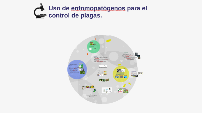 Uso de entomopatógenos para el control de plagas. by Norma Zamora on Prezi