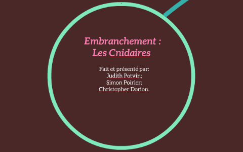 Embranchement : Les Cnidaires by Christopher Dorion on Prezi