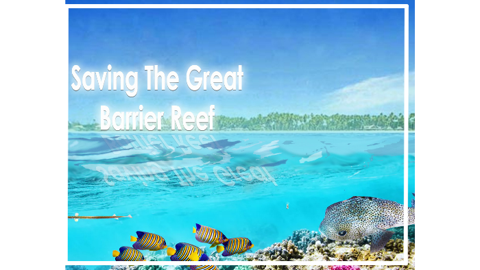 Saving The Great Barrier Reef by Jayden Robins on Prezi