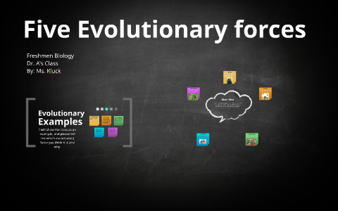 Five Evolutionary forces by Kelsie Kluck on Prezi