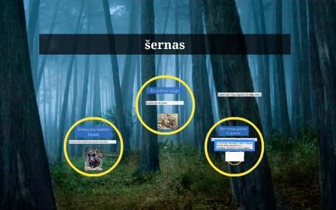 šernas by Danielius Rekasius on Prezi