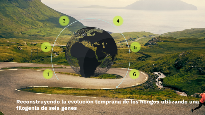Posición filogenética de los microsporidios. by Monse Juarez on Prezi