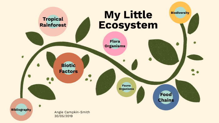 My Little Ecosystem by Angie C-S on Prezi