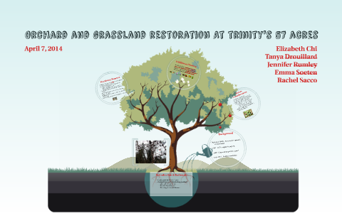 Orchard and grassland restoration by Jennifer Rumley on Prezi