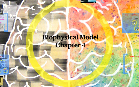 Biophysical Model by Katie Wiley on Prezi