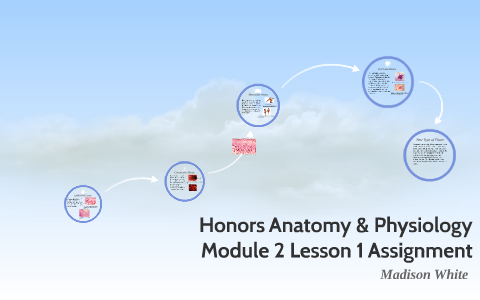 Module 2 Lesson 1 Assignment by madison white on Prezi