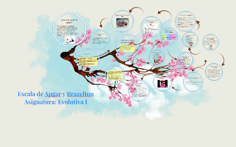 Escala de Apgar y Brazelton by Andrea Torres on Prezi