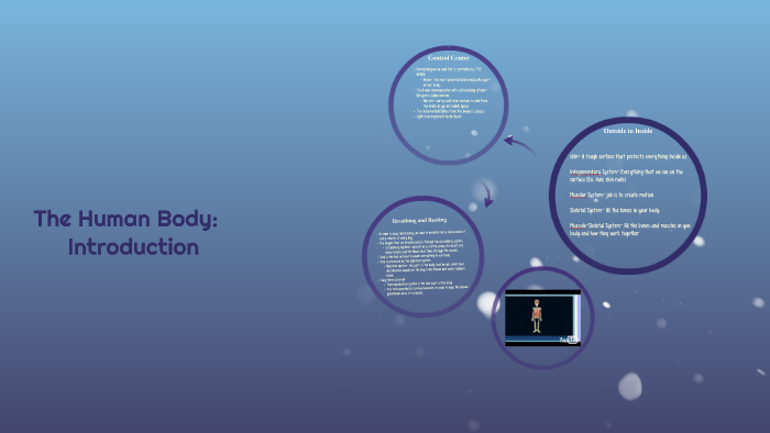Introduction to the Human body by on Prezi