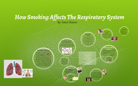 How Smoking Affects The Respiratory System by Growler Clayton on Prezi