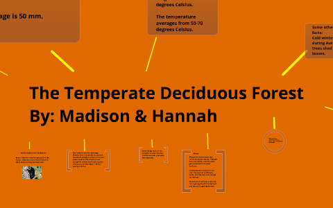 Temperate Deciduous Forest by Hannah Machesky on Prezi
