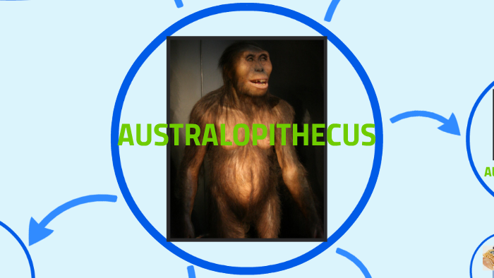 AUSTRALOPITHECUS by Berta Manuel